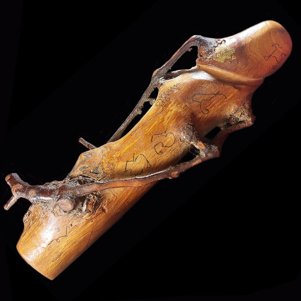 Palad Khik Gaafak Rak (Parasitic Plant / Extremely Rare) - Thai Amulets